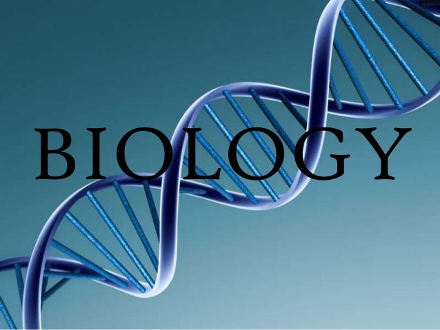 biology-presentation-chapter-6
