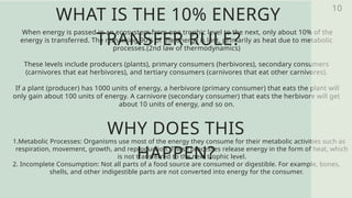 Biology Presentation Energy Transfer.pptx