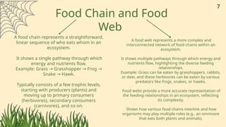 Biology Presentation Energy Transfer.pptx