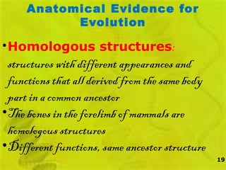 BIOLOGY - EVOLUTIONARY EVIDENCES | PPT