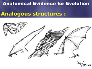 BIOLOGY - EVOLUTIONARY EVIDENCES | PPT