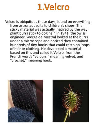 Biomimicry | PPTX