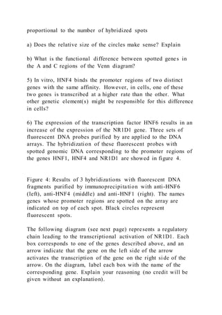 Biology problem set #2 part i to study the control of ge | PDF