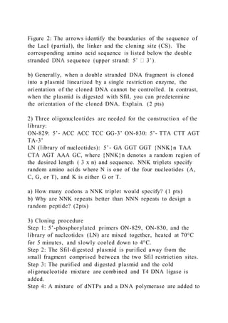Biology PROBLEM SET #2 Part I To study the control of ge | DOCX