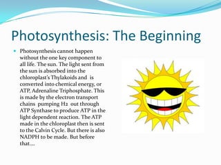 Biology Project | PPTX