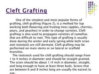 Plant Grafting | PPT