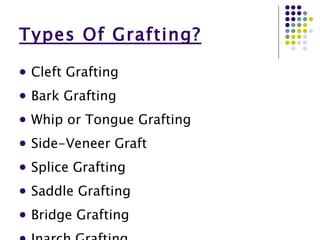 Plant Grafting | PPT