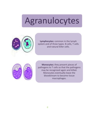 Biology project | DOCX