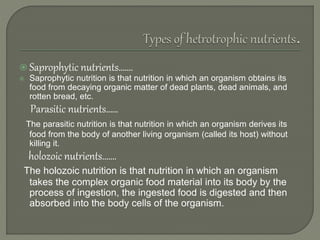 life processes....... | PPT