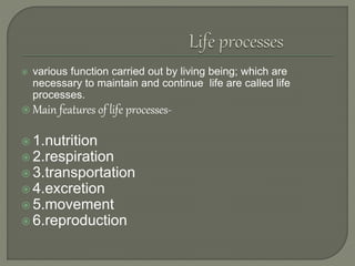 life processes....... | PPT