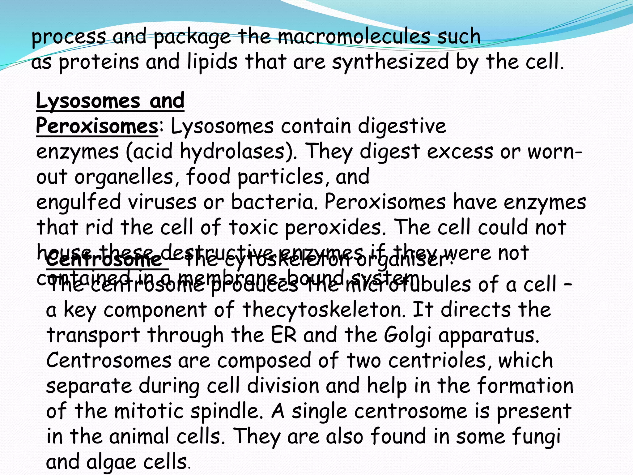 Biology project on cells | PPTX