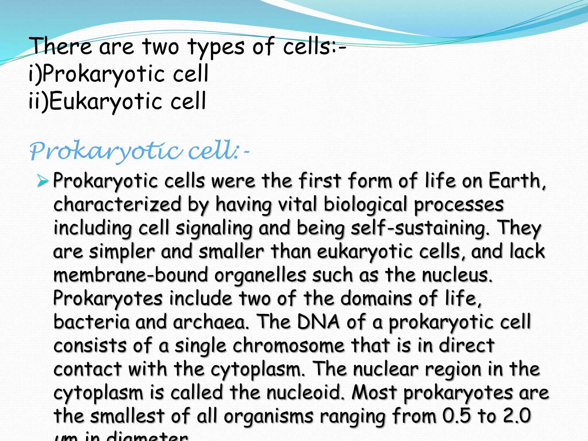 Biology project on cells | PPTX