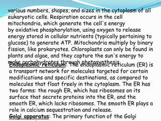 Biology project on cells | PPTX