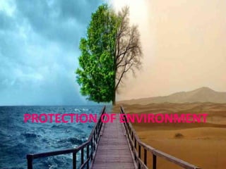 Biology project | PPTX