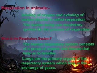 Biology project | PPT