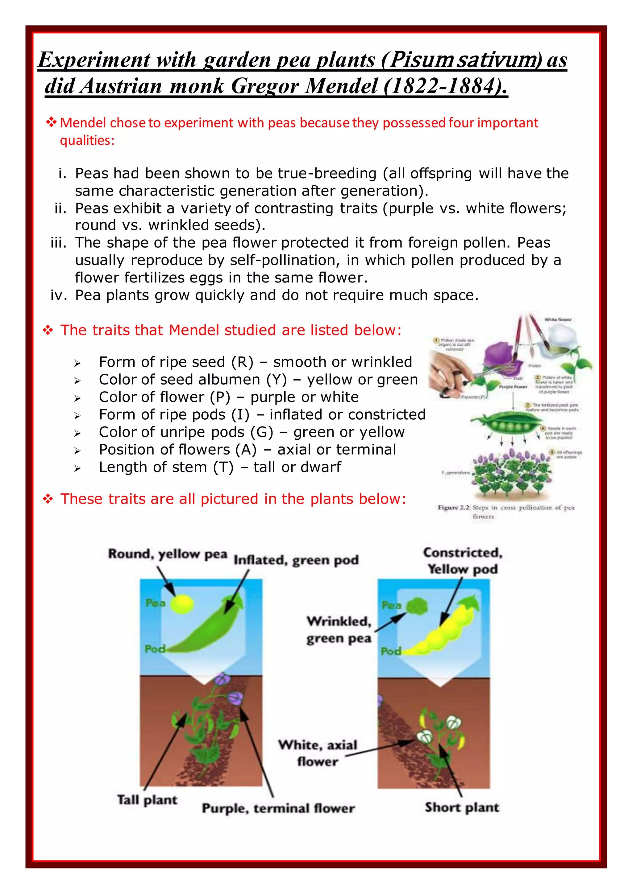 Biology project on mendelian traits | DOCX