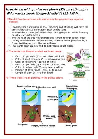 Biology project on mendelian traits | DOCX