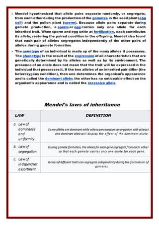 Biology project on mendelian traits | DOCX