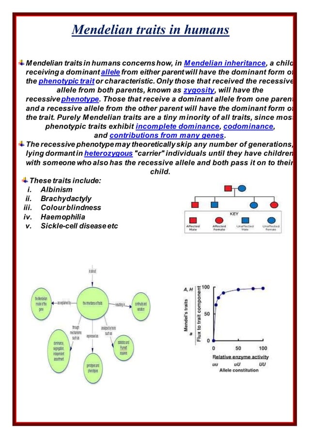 Biology project on mendelian traits | DOCX