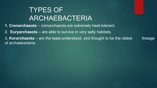 Biology project on Kingdom Monera | PPTX