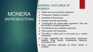 Biology project on Kingdom Monera | PPTX | Biological Sciences | Science
