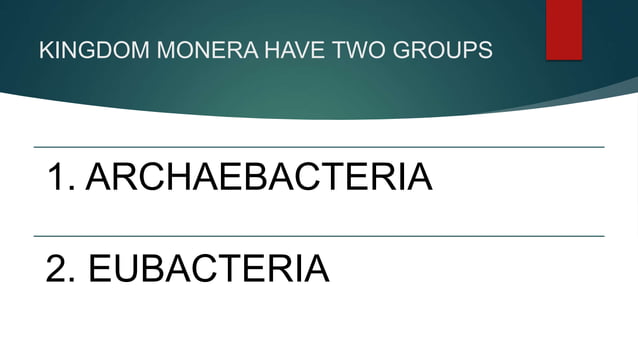 Biology project on Kingdom Monera | PPTX | Biological Sciences | Science
