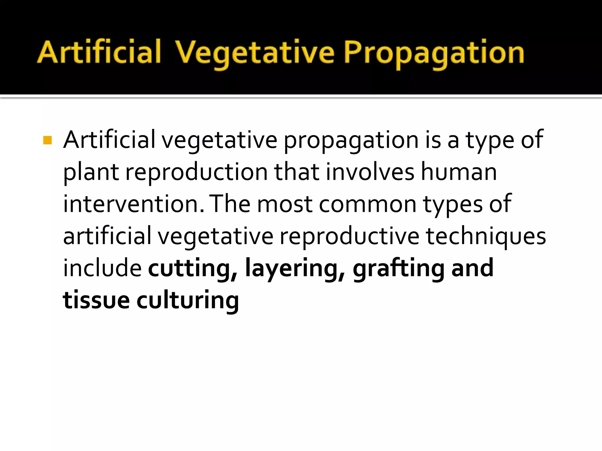 Vegetative Propagation artificial and natural | PPTX