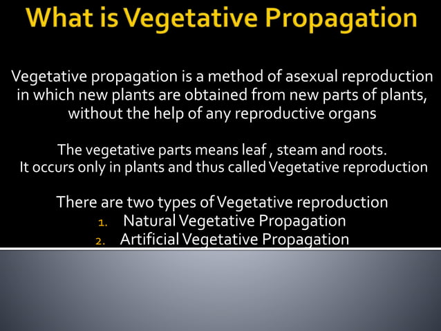 Vegetative Propagation artificial and natural | PPTX