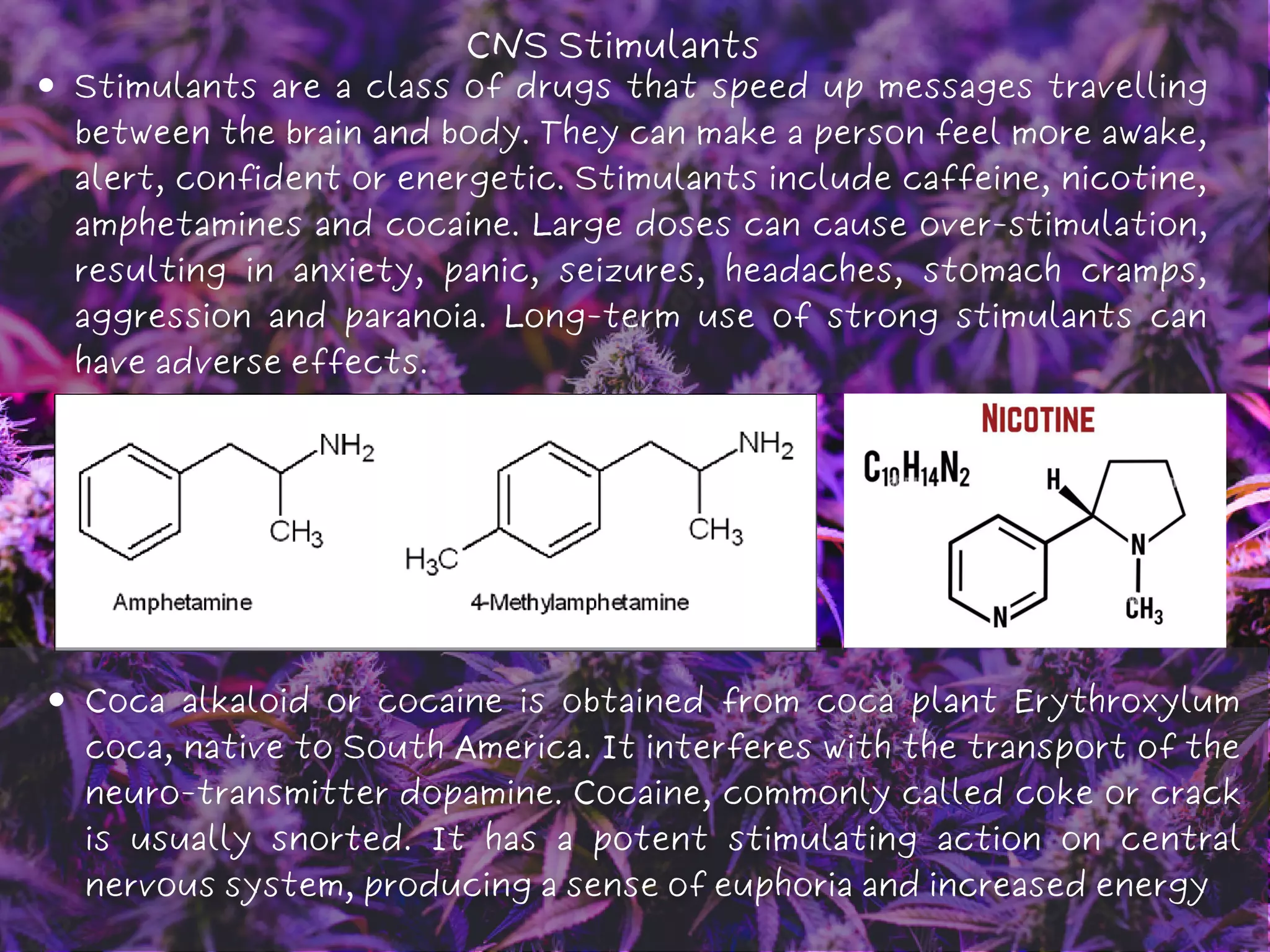 BIOLOGY INVESTIGATORY PROJECT - DRUG ADDICTION-CLASS 12 | PDF