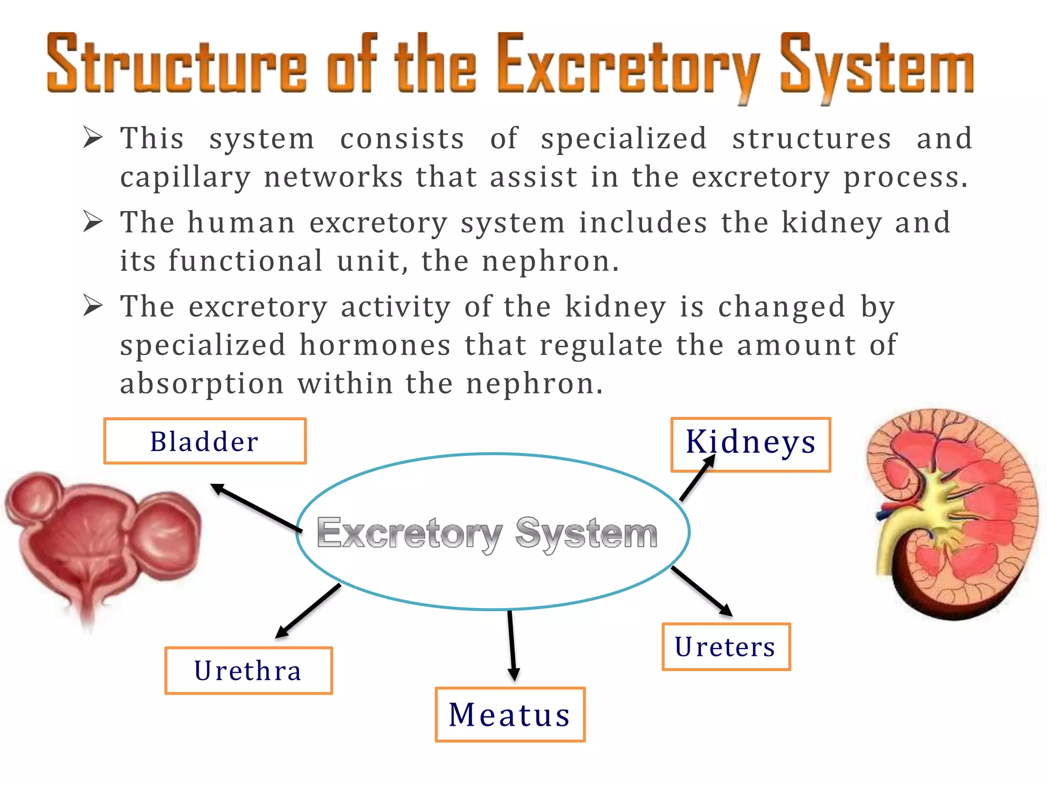 Biology project.pptx
