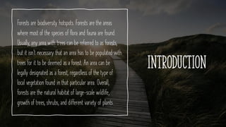 Biology Project on forests and wildlife.pdf