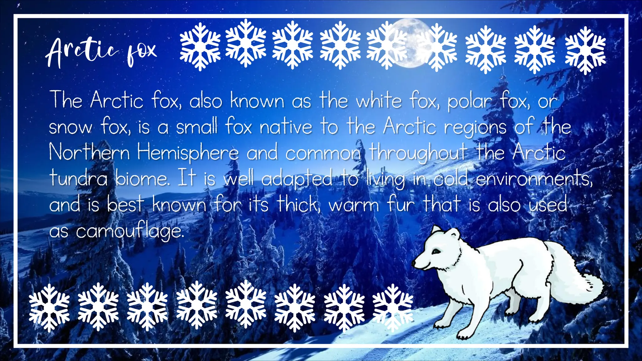 Creative Biology Project on animals in polar regions | PPT