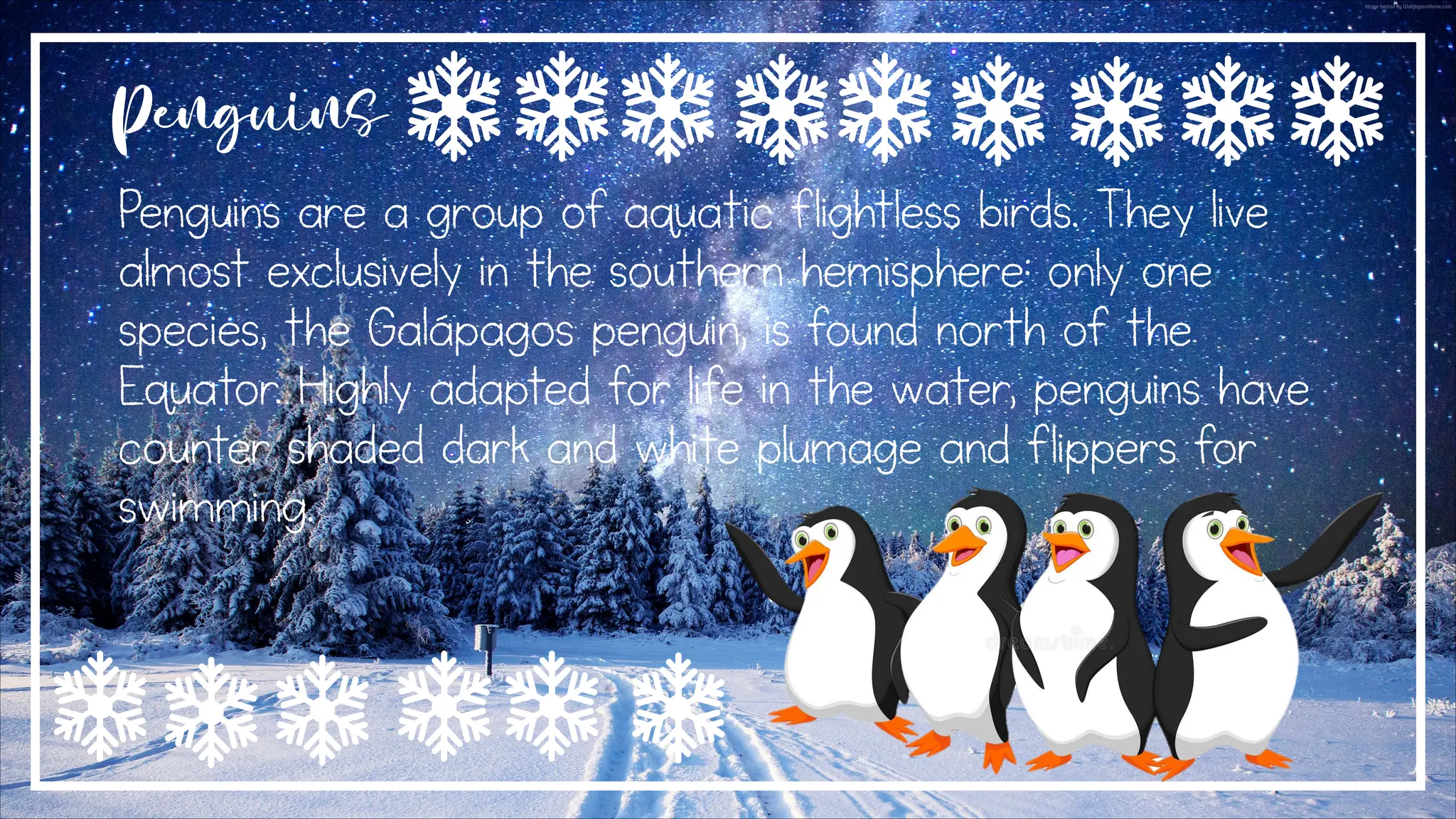 Creative Biology Project on animals in polar regions | PPT