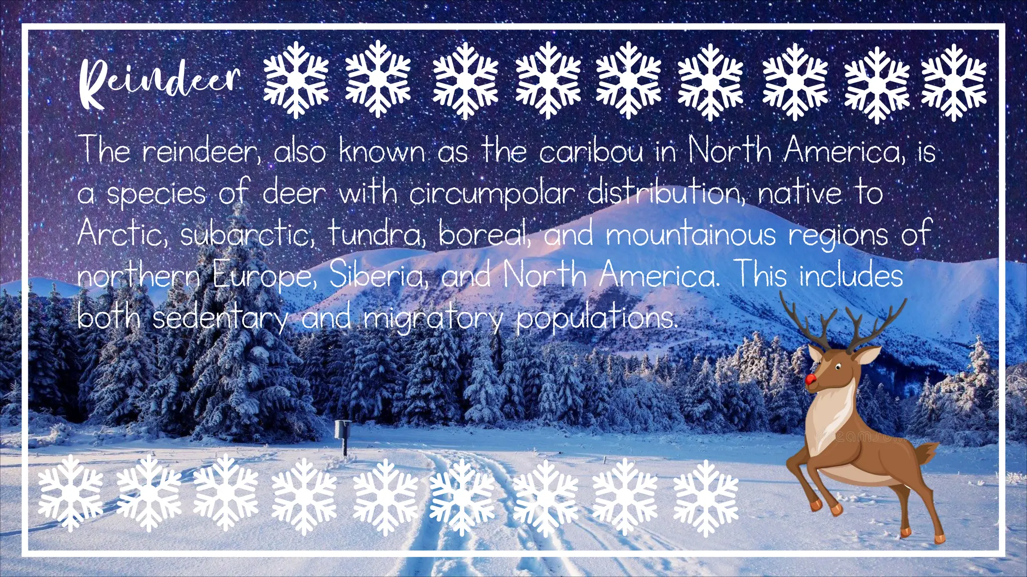 Creative Biology Project on animals in polar regions | PPT