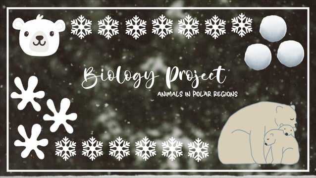 Creative Biology Project on animals in polar regions | PPT