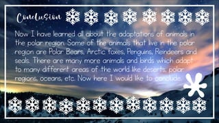Creative Biology Project on animals in polar regions | PDF