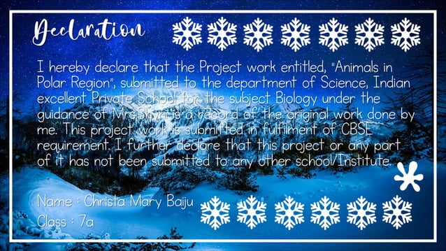 Creative Biology Project on animals in polar regions | PPT
