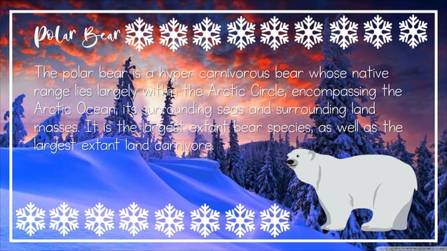 Creative Biology Project on animals in polar regions | PPT