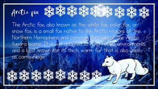 Creative Biology Project on animals in polar regions | PDF