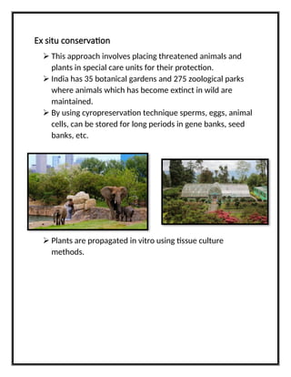 Biology Project.docx biodiversity and conservation | DOCX