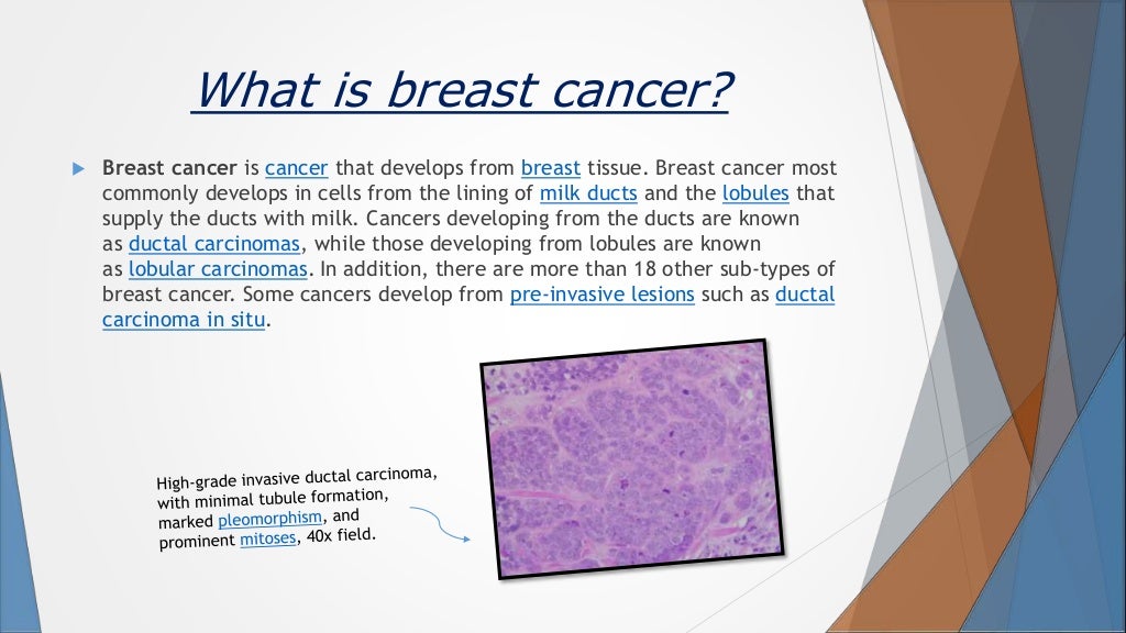 Biology Investigatory Project-Class XII-Breast Cancer