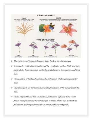 biology project [ 12th].pdf