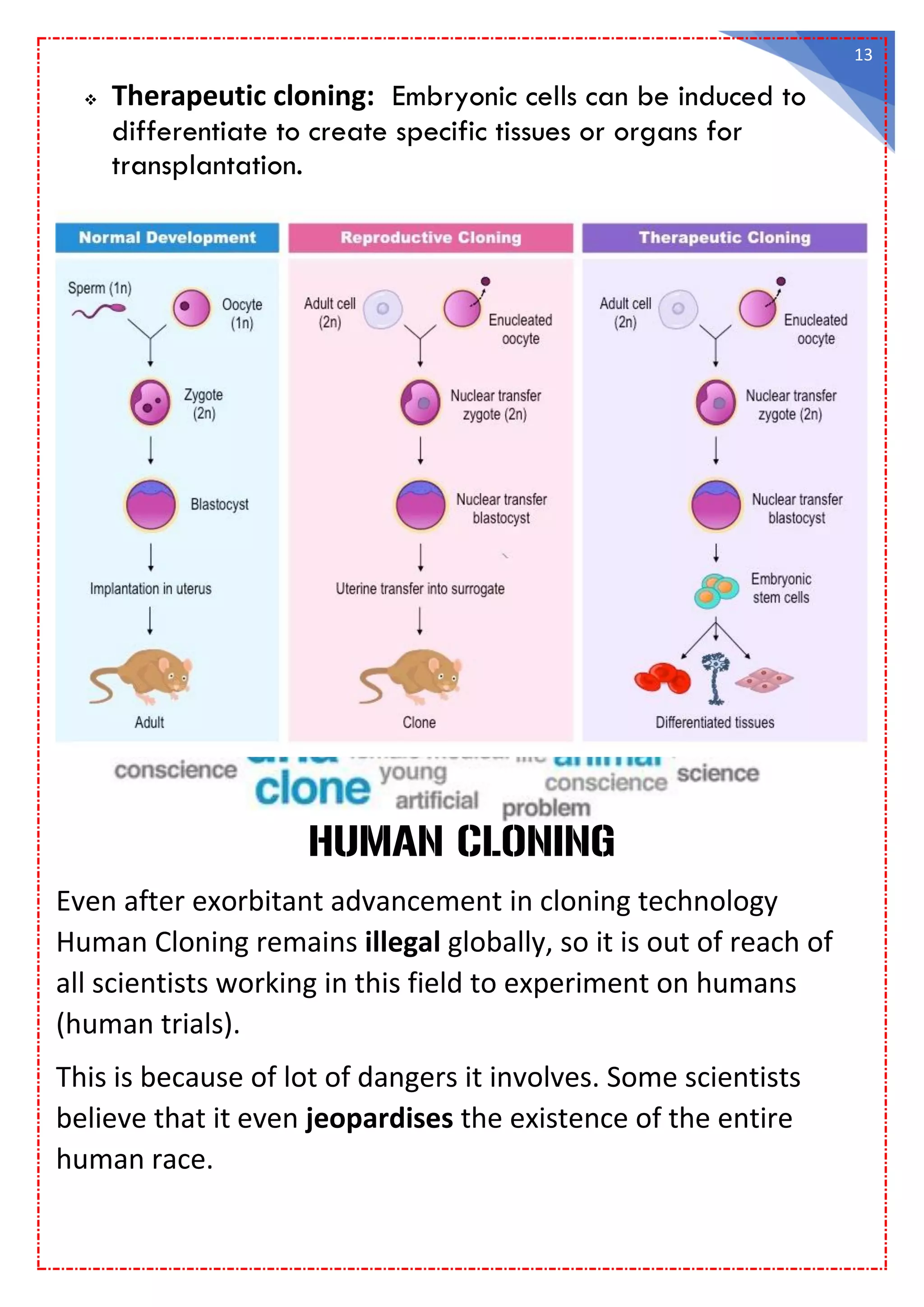 "Cloning 101" -Biology investigatory project (class 12) | PDF