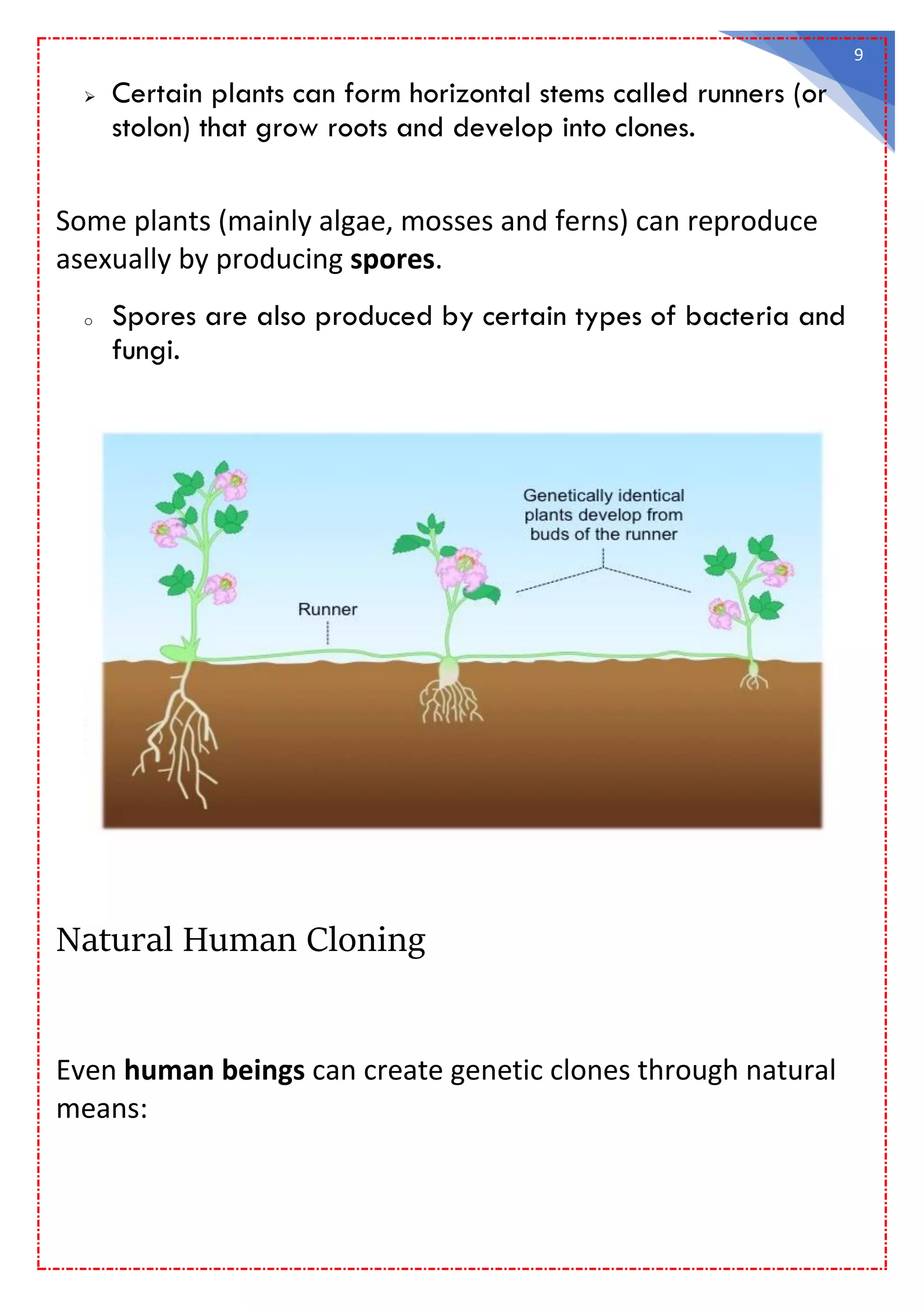 "Cloning 101" -Biology investigatory project (class 12) | PDF