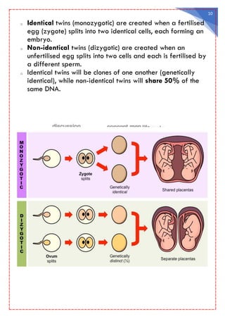 "Cloning 101" -Biology investigatory project (class 12) | PDF