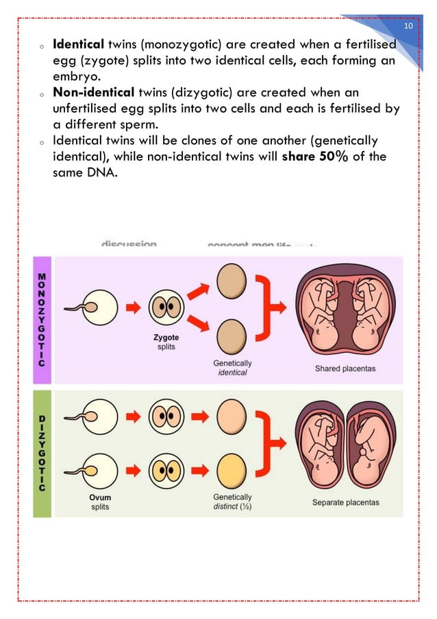 "Cloning 101" -Biology investigatory project (class 12) | PDF ...