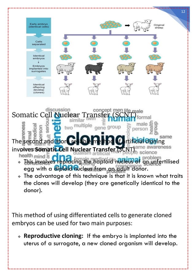 "Cloning 101" -Biology investigatory project (class 12) | PDF | Infertility | Reproductive Health