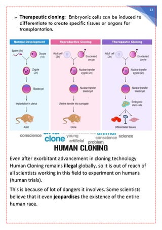 "Cloning 101" -Biology investigatory project (class 12) | PDF
