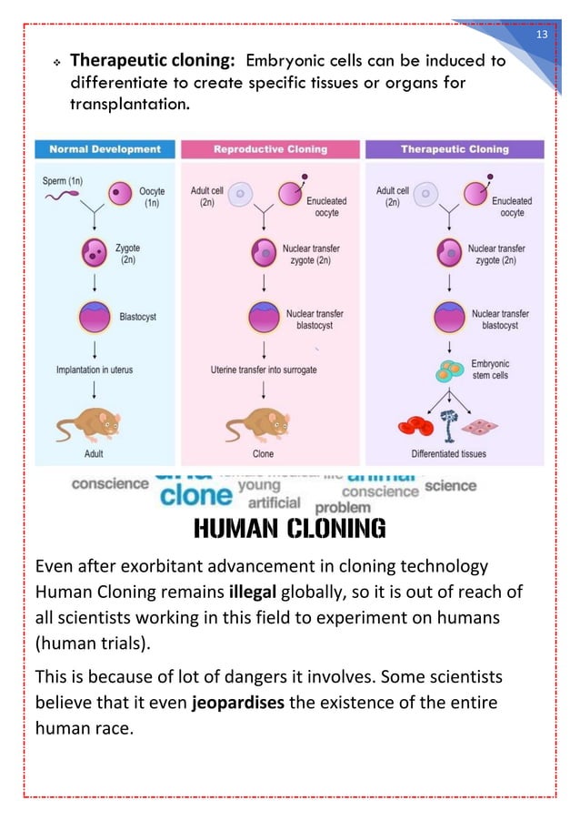 "Cloning 101" -Biology investigatory project (class 12) | PDF ...