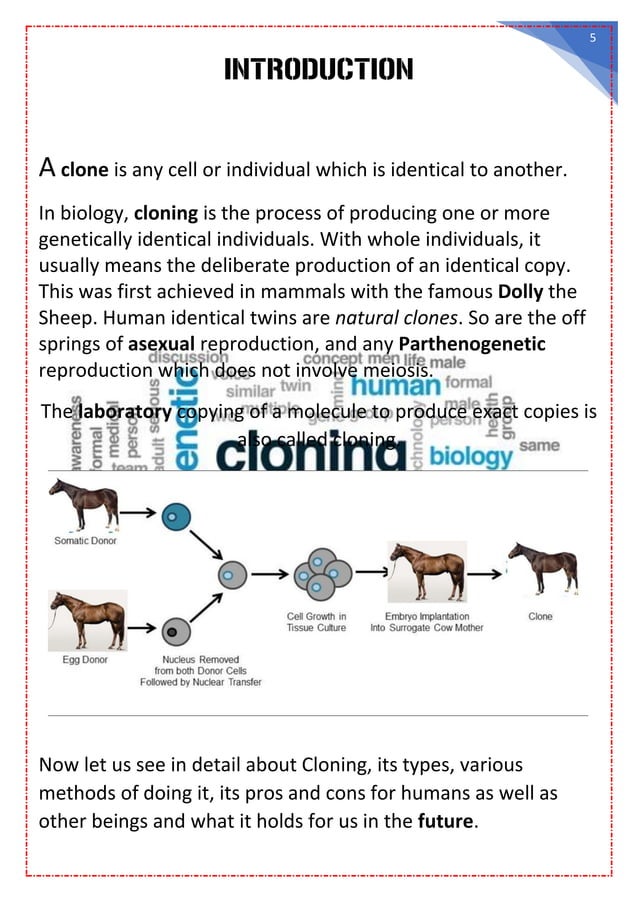"Cloning 101" -Biology investigatory project (class 12) | PDF ...